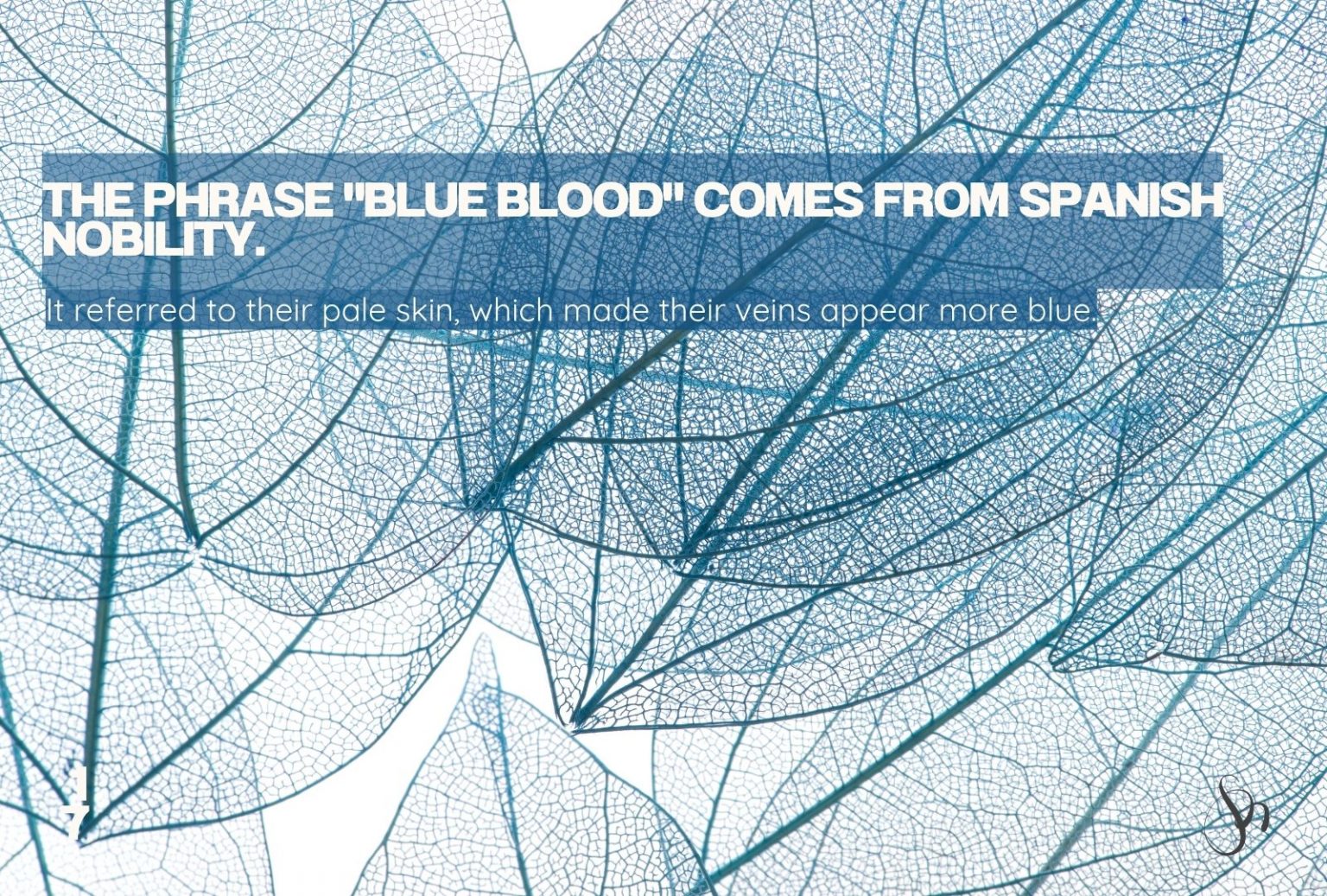 58 Fun Facts about the Color Blue - Part 1 - S O N J A ° N E U M E Y E R