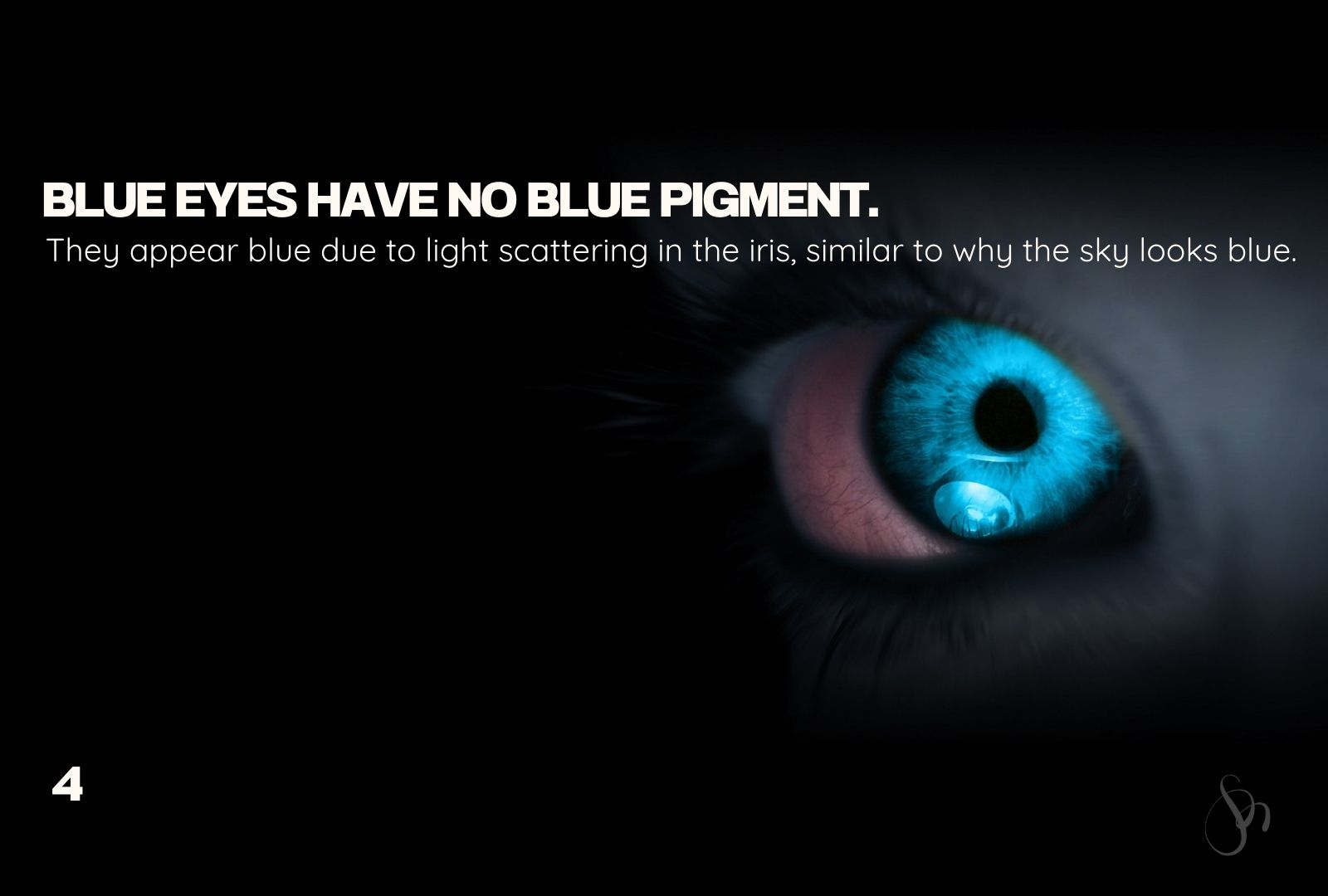 58 Fun Facts about the Color Blue - Part 1 - S O N J A ° N E U M E Y E R