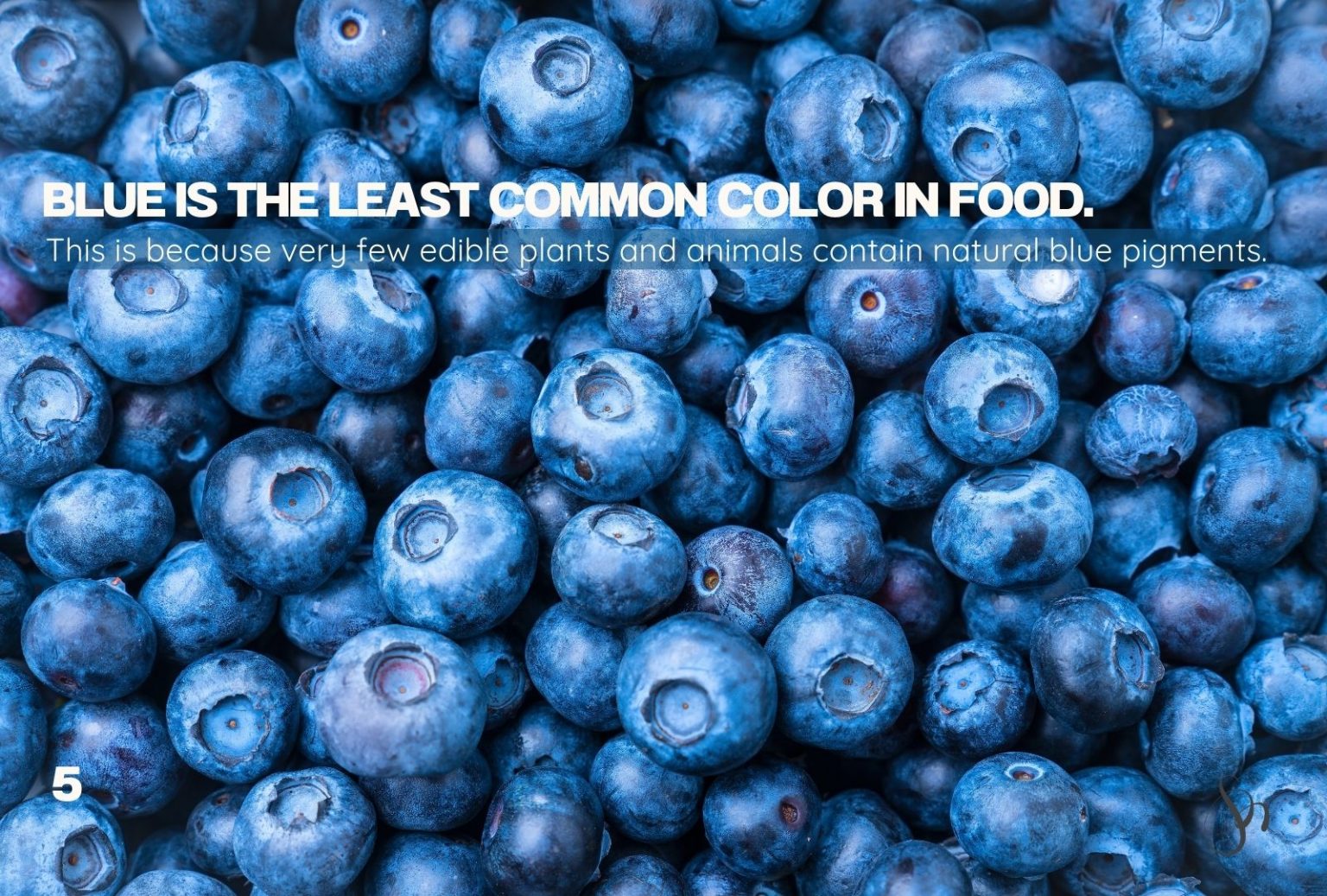 58 Fun Facts about the Color Blue - Part 1 - S O N J A ° N E U M E Y E R